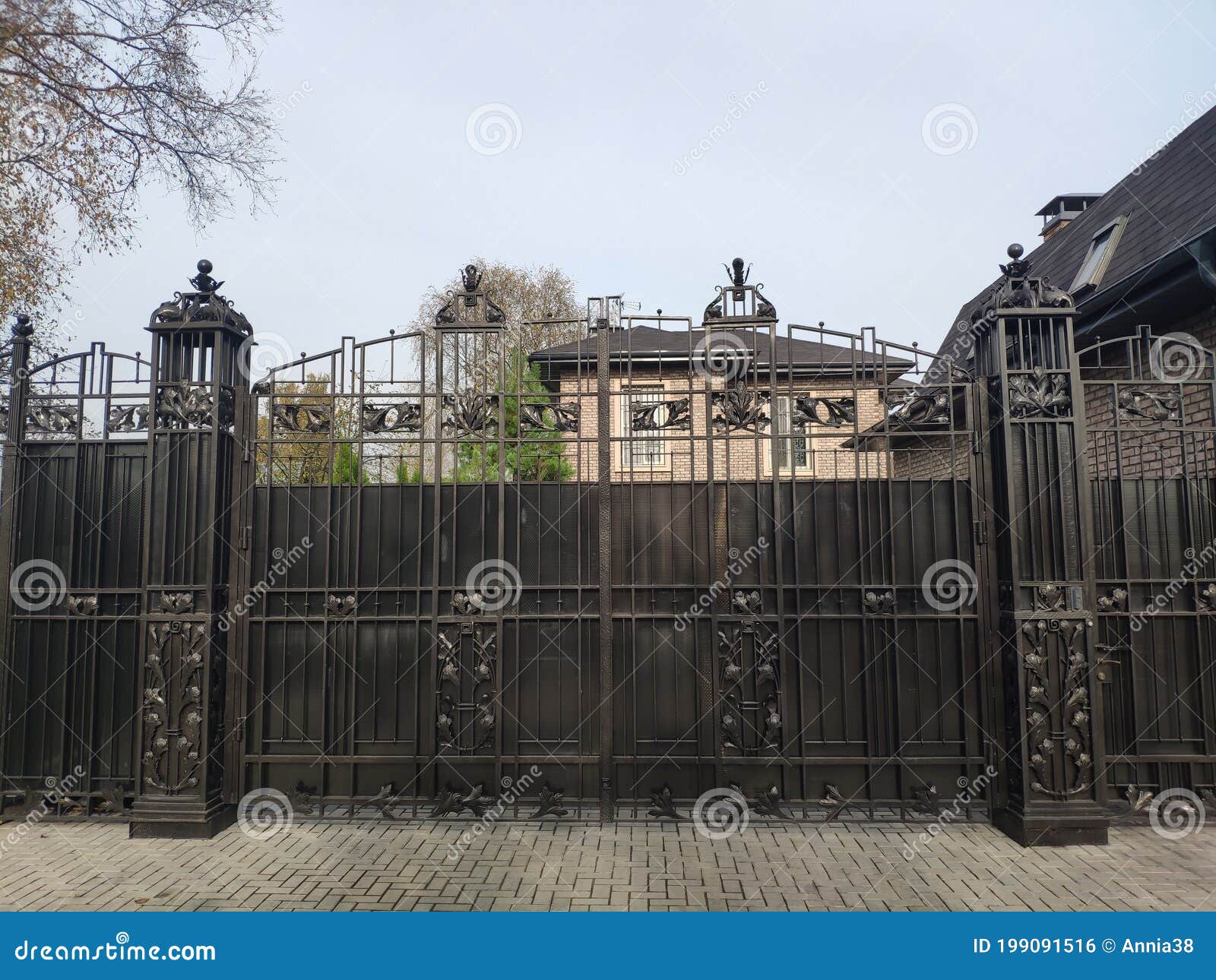 Wrought Iron Gates with Decorative Element, Iron Ornamental Forging ...