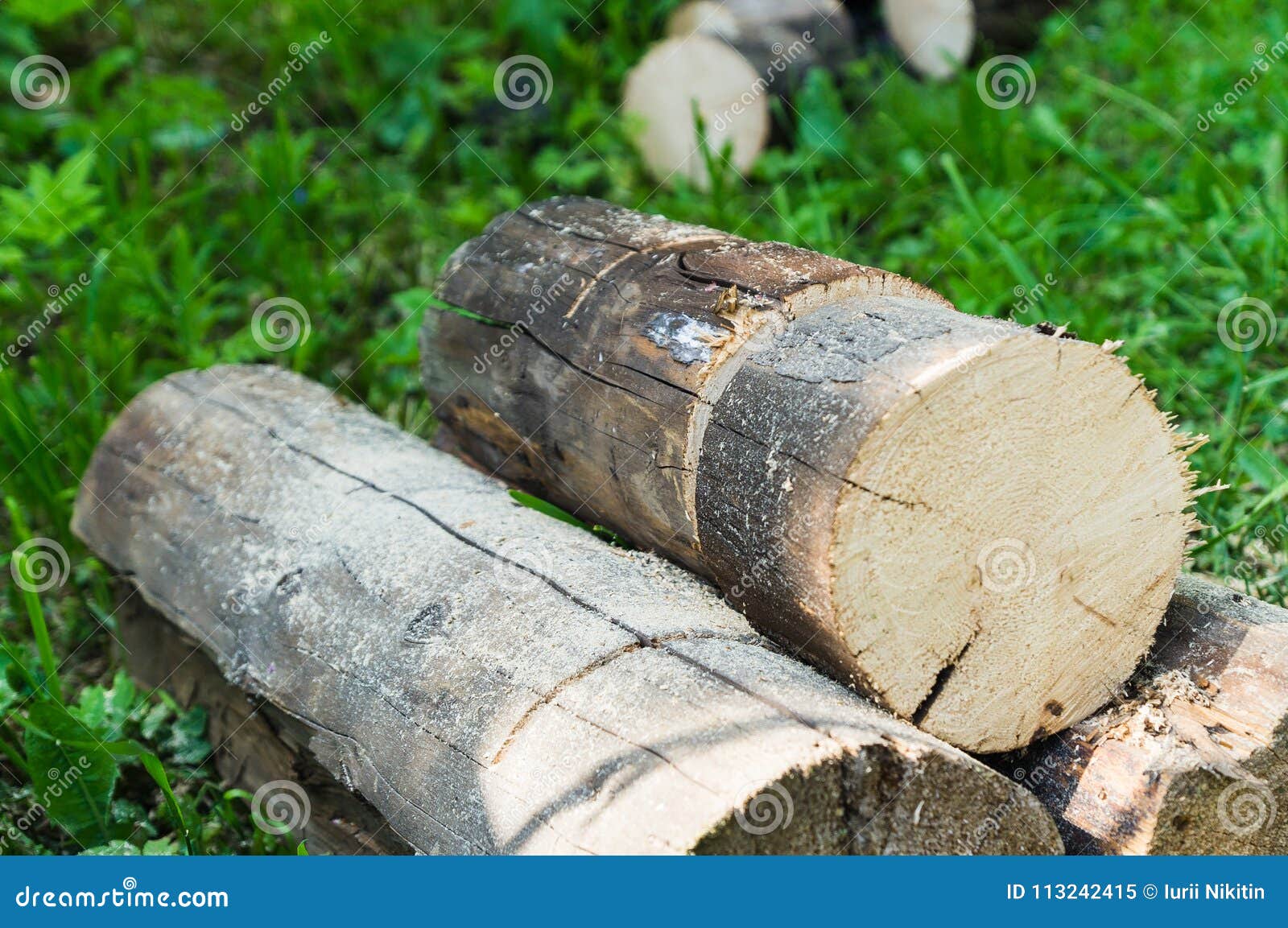 Logs on the grass stock image. Image of firewood, storage - 113242415