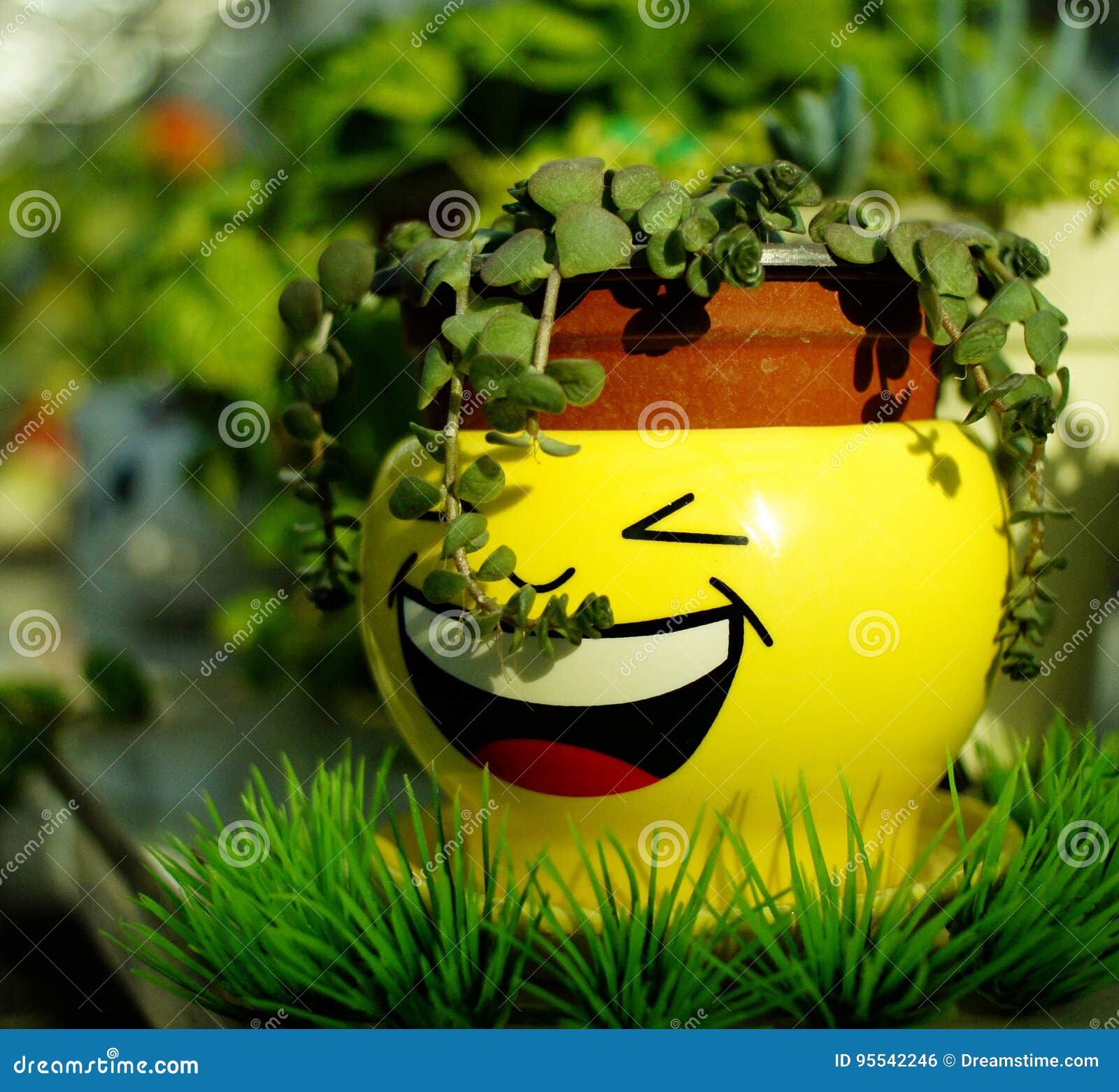 Wry smile stock photo. Image of plant, meaty, smilen - 95542246
