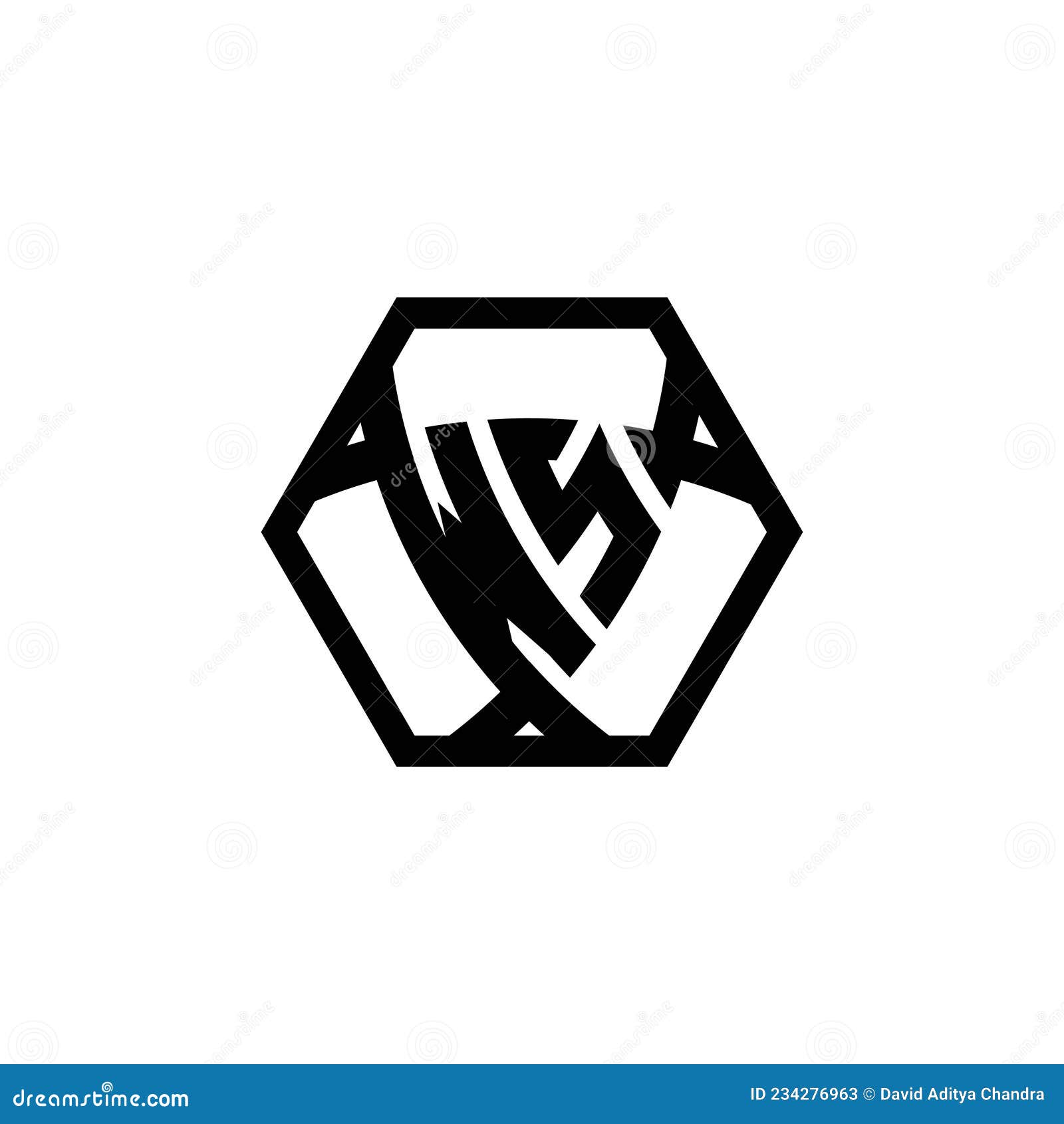 WS Logo Monogram Triangle Shield Hexagonal Style Stock Vector ...