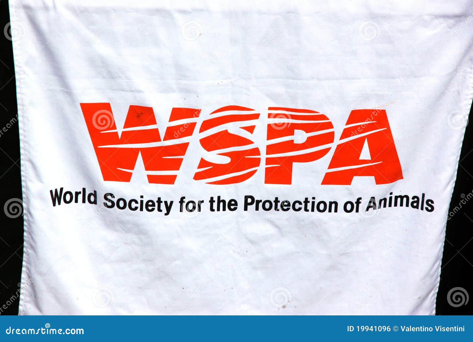 WSPA editorial photo. Image of organization, conditions - 19941096