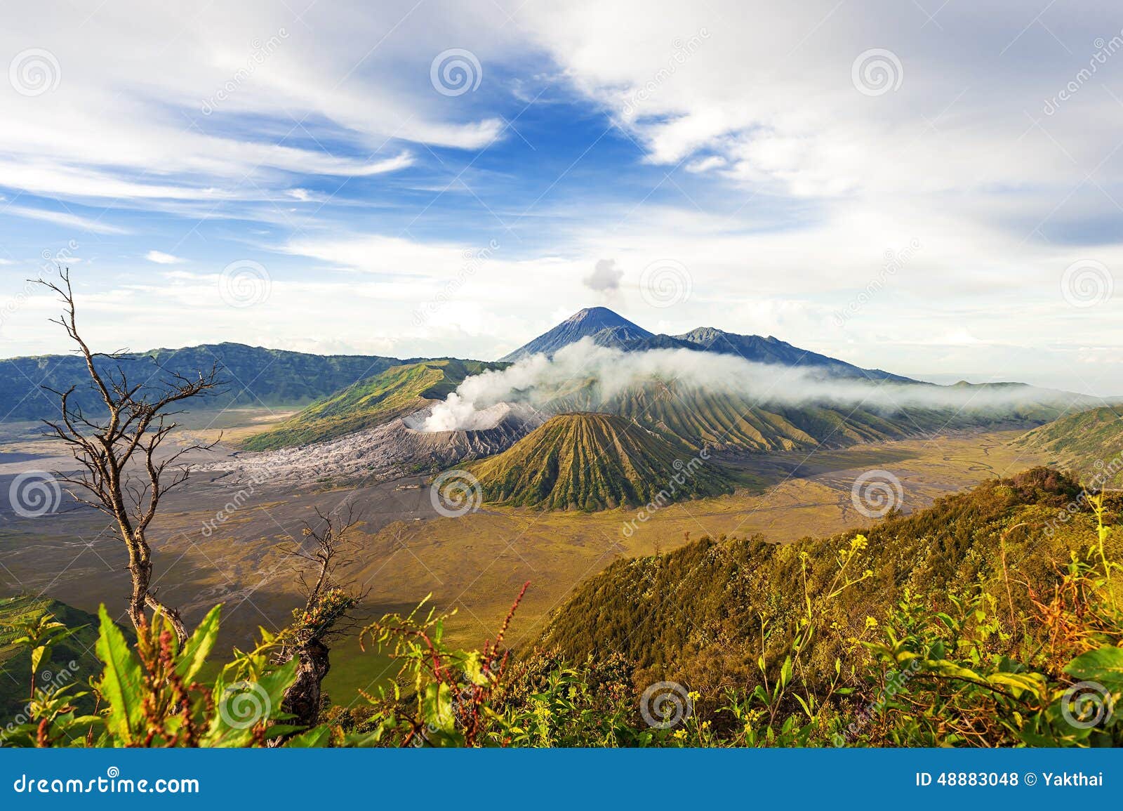 Wspina Się Bromo Batok Semeru Wulkan, Java Indonesia Zdjęcie Stock ...