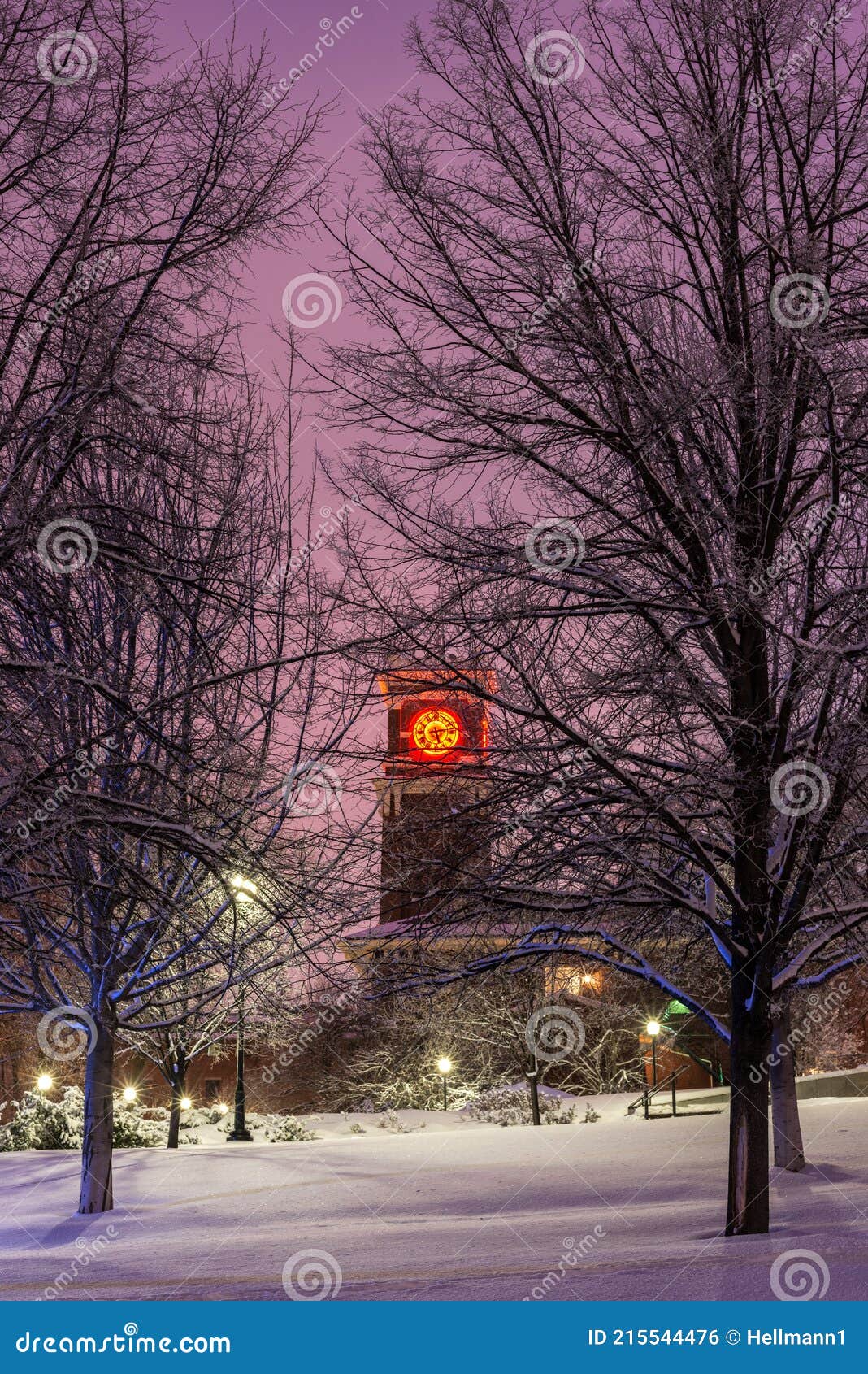 WSU Clock Tower stock photo. Image of nature, park, evening - 215544476