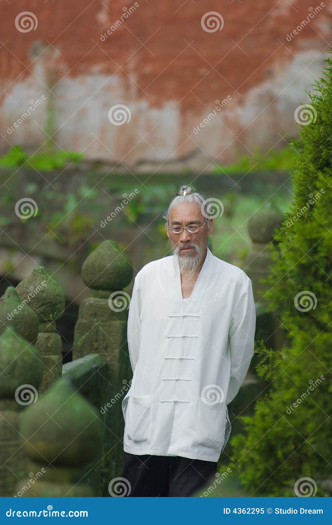 Wudang Tai Chi master editorial image. Image of outdoors - 4362295