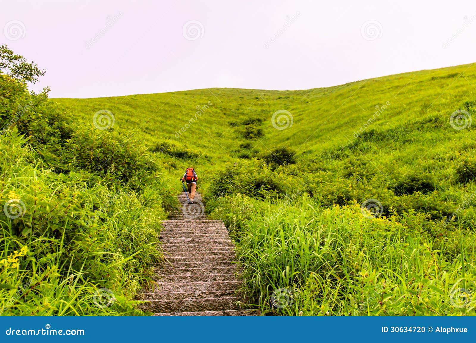Wugongshan mountain editorial image. Image of blue, grassy - 30634720