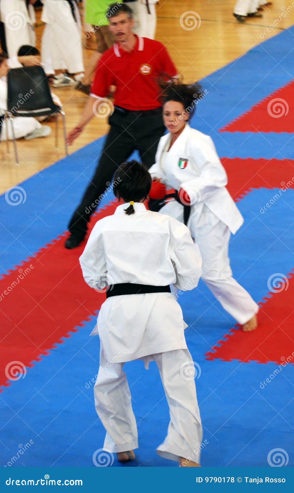 Wuko European Karate Championships Editorial Stock Photo - Image of ...