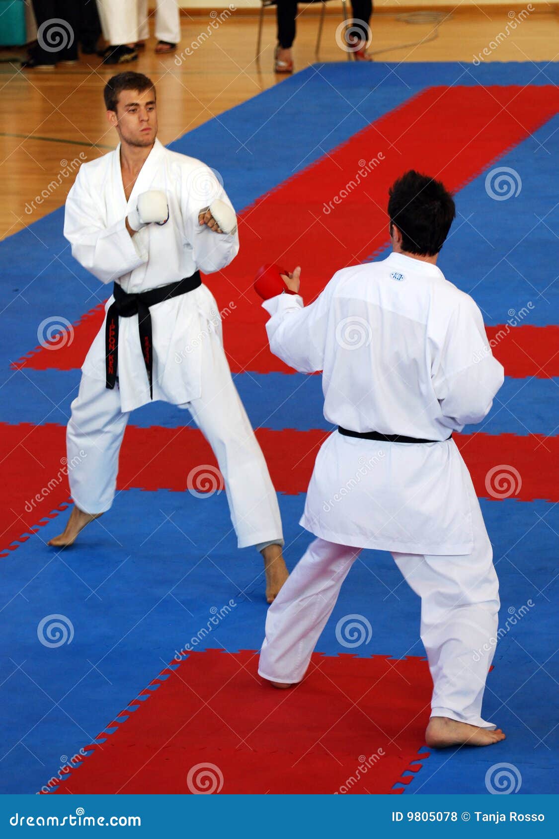 Wuko European Karate Championships Editorial Stock Photo - Image of ...