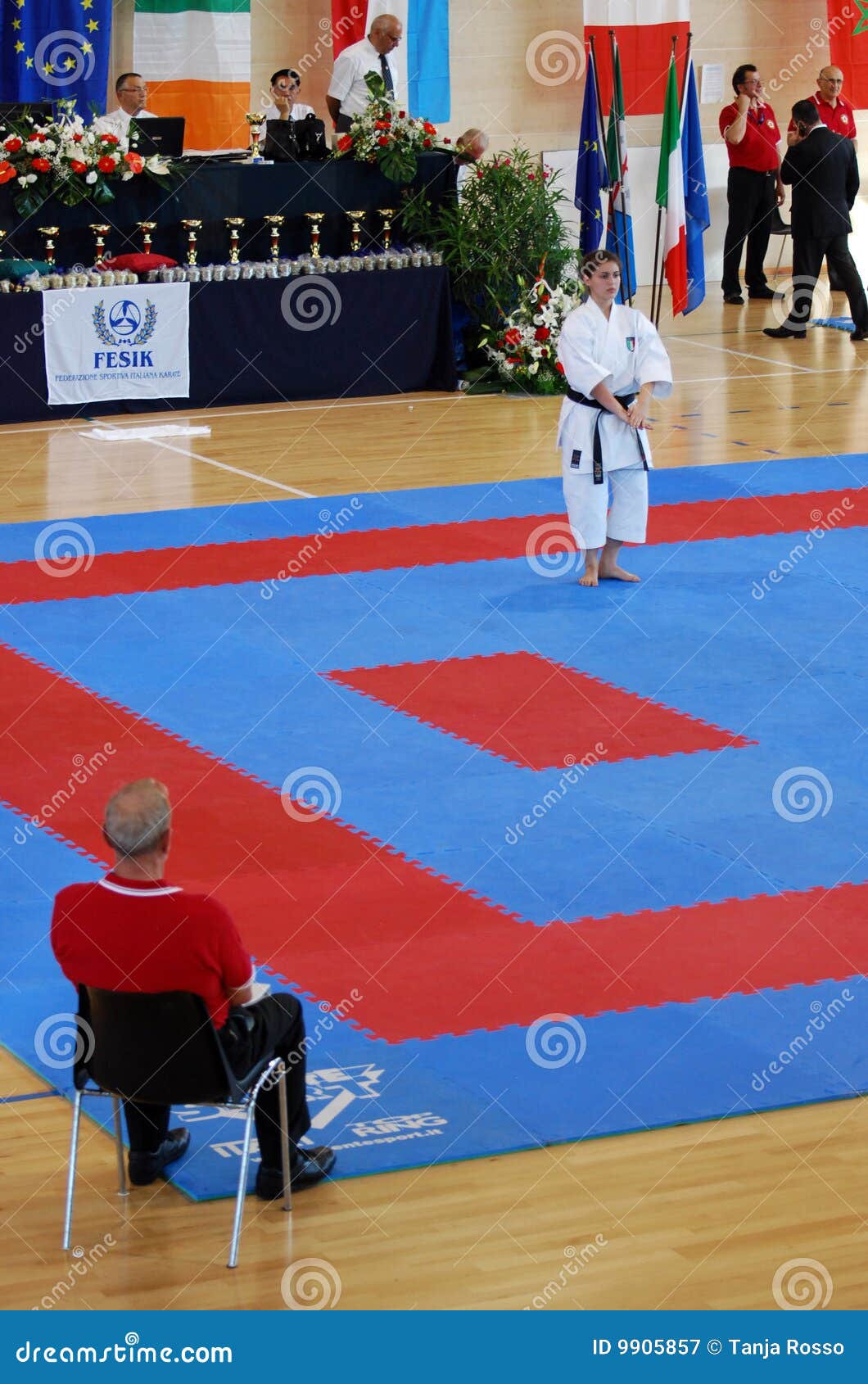 Wuko European Karate Championships Editorial Photography - Image of ...