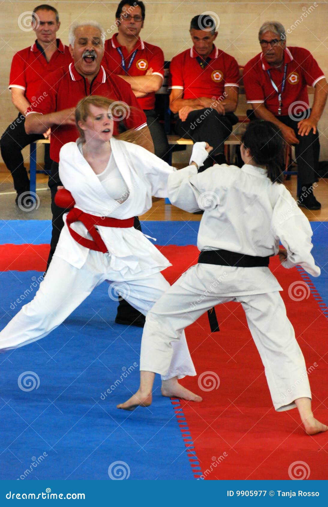 Wuko European Karate Championships Editorial Photography - Image of ...
