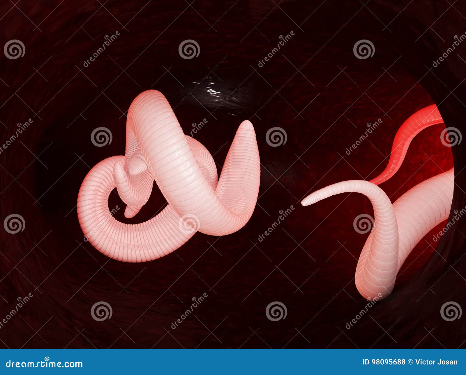 Wurm Mit Virus Und Blutzellen Abbildung 3D Stock Abbildung ...