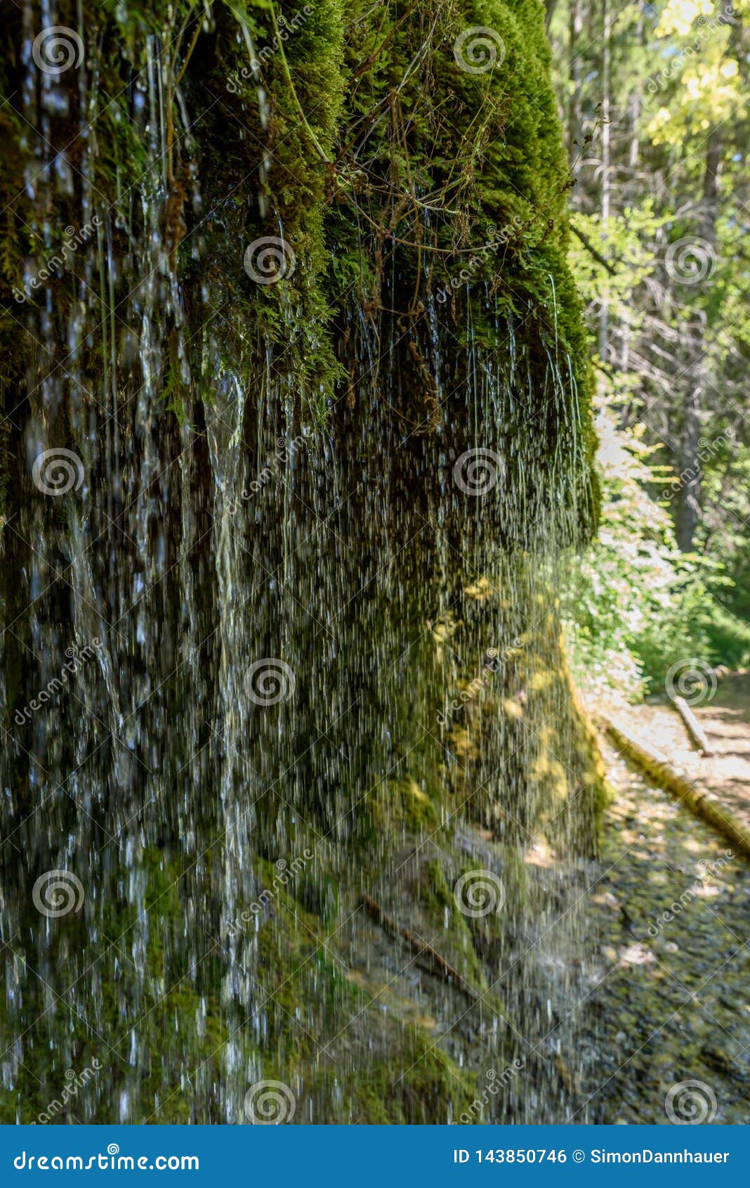 Wutach Gorge with River in Moos Grass - Walking in Beautiful Landscape ...