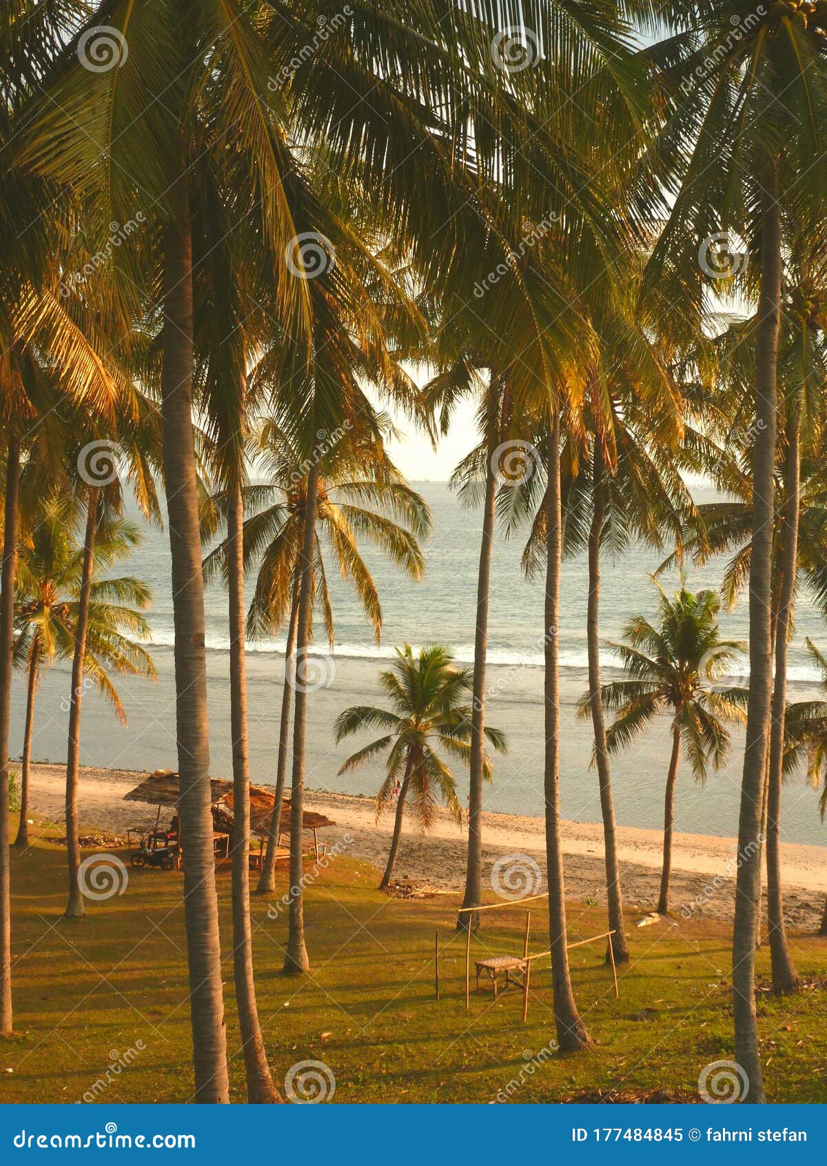 Wuuden Hut with Palm Trees on the Beach in Bali Stock Image - Image of ...