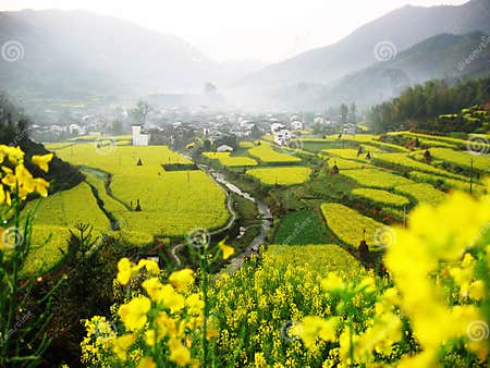 WuYuan stock photo. Image of cole, mountain, country, chinese - 4645368