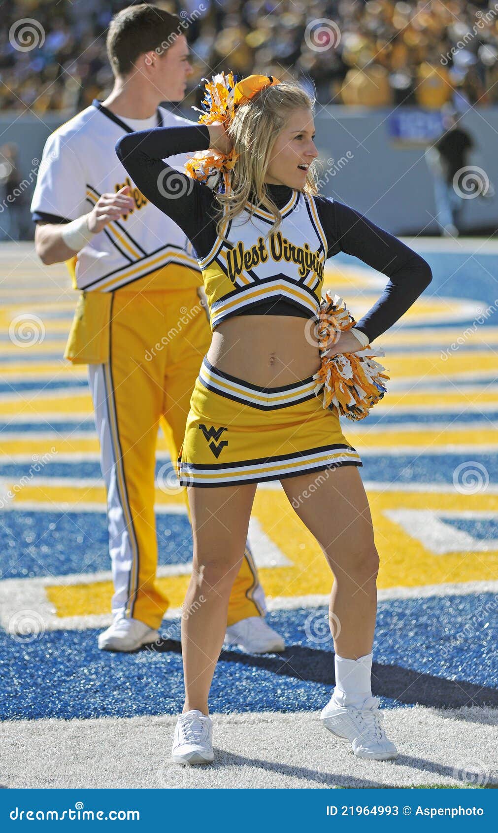 WVU cheerleader editorial stock photo. Image of west - 21964993