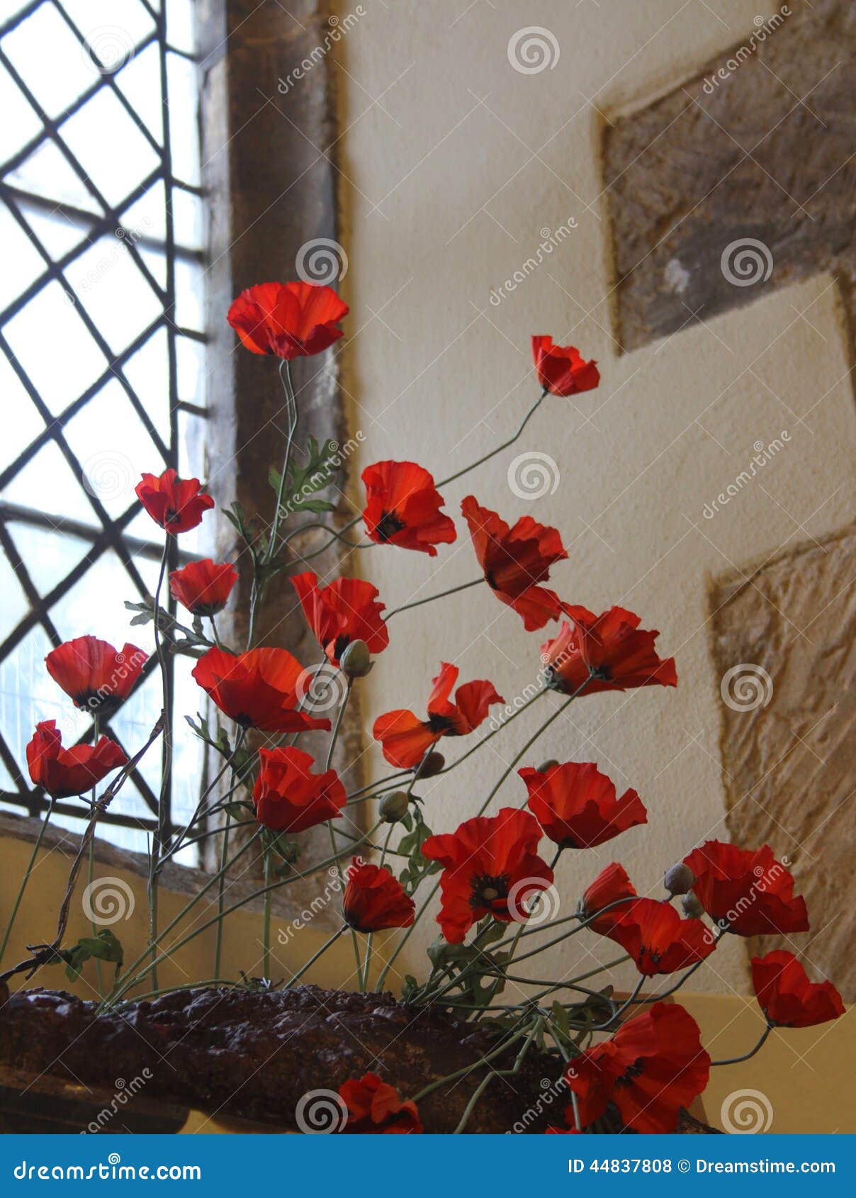 WW1 Poppies in Church Window Stock Photo - Image of armistice ...