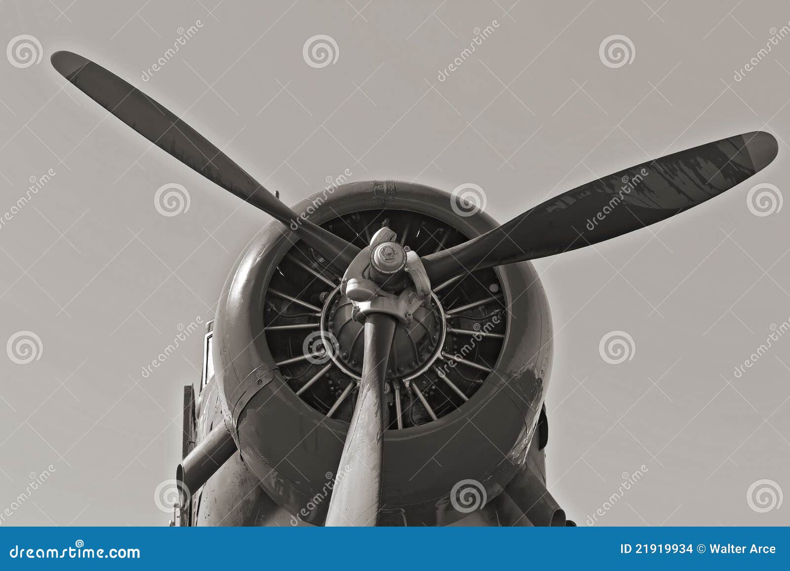 WWII Aircraft stock photo. Image of engine, fighter, airshow - 21919934