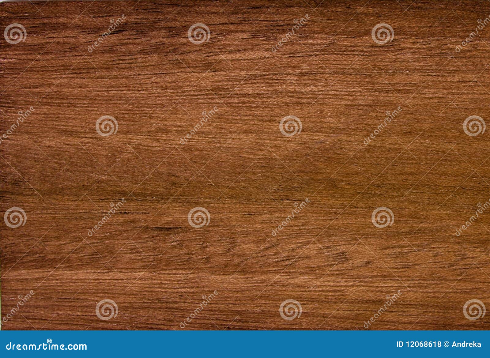Wwod texture stock photo. Image of pattern, alcanfor - 12068618