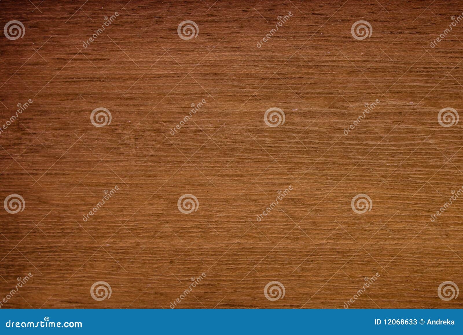 Wwod texture stock image. Image of surface, ocotea, alcanfor - 12068633
