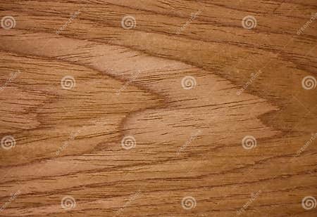 Wwod texture stock image. Image of alcanfor, panel, wall - 12068669