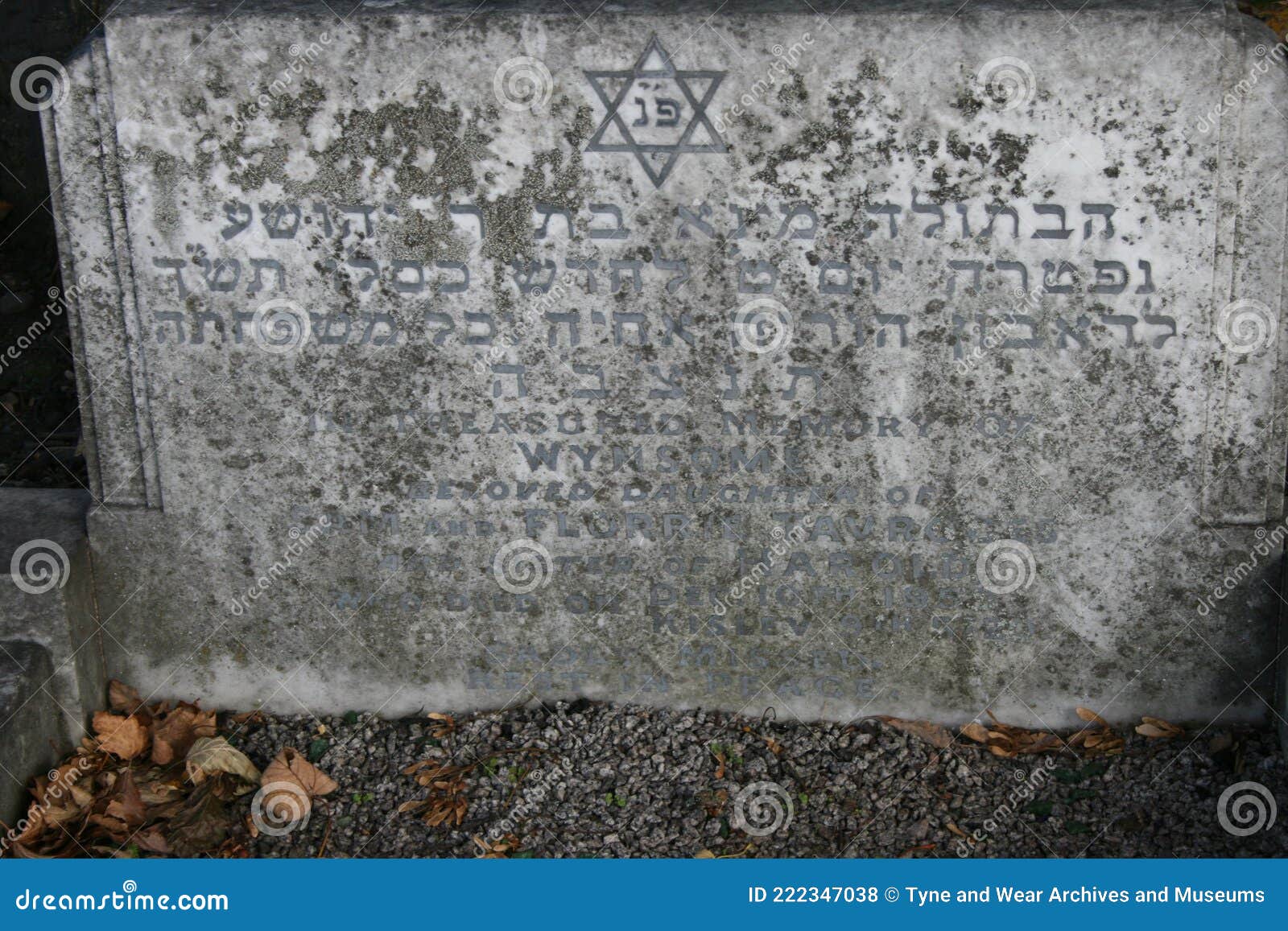 Wynsome Tavroges Picture. Image: 222347038