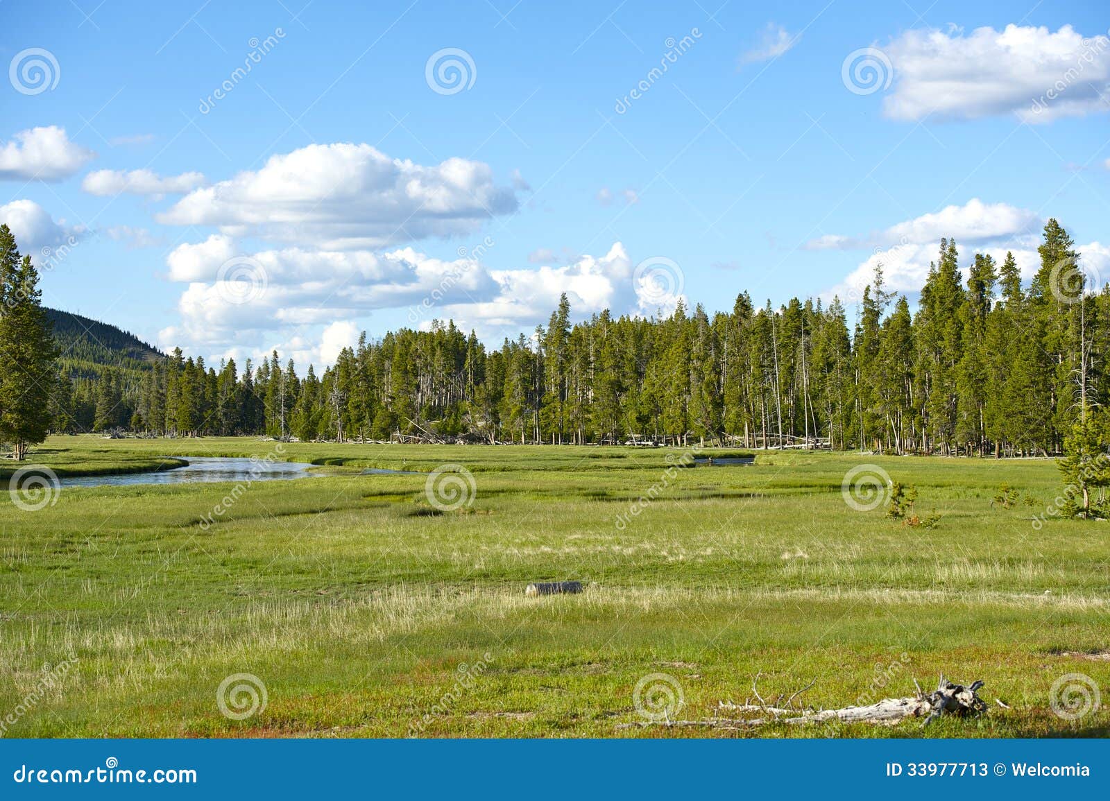 Wyoming Summer Scenery stock image. Image of treeline - 33977713
