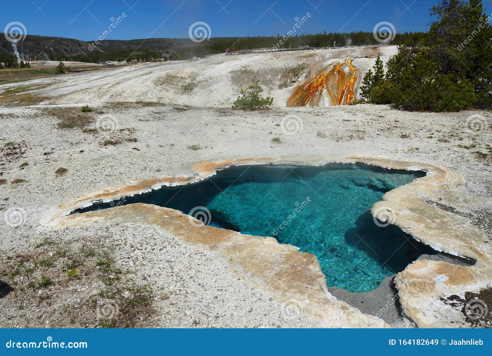 Yellowstone National Park, Upper Geyser Basin, Blue Star Spring Near ... Yellowstone National Park, Upper Geyser Basin, Blue Star Spring Near ...