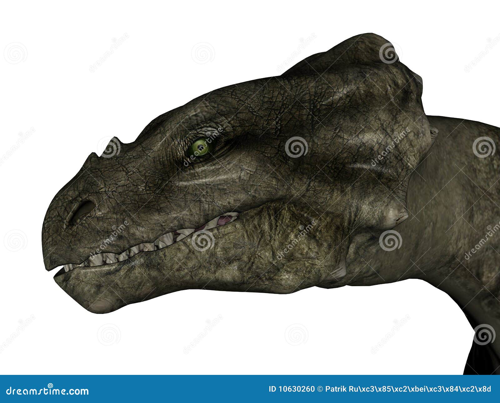 Wyvern head stock illustration. Illustration of wyvern - 10630260