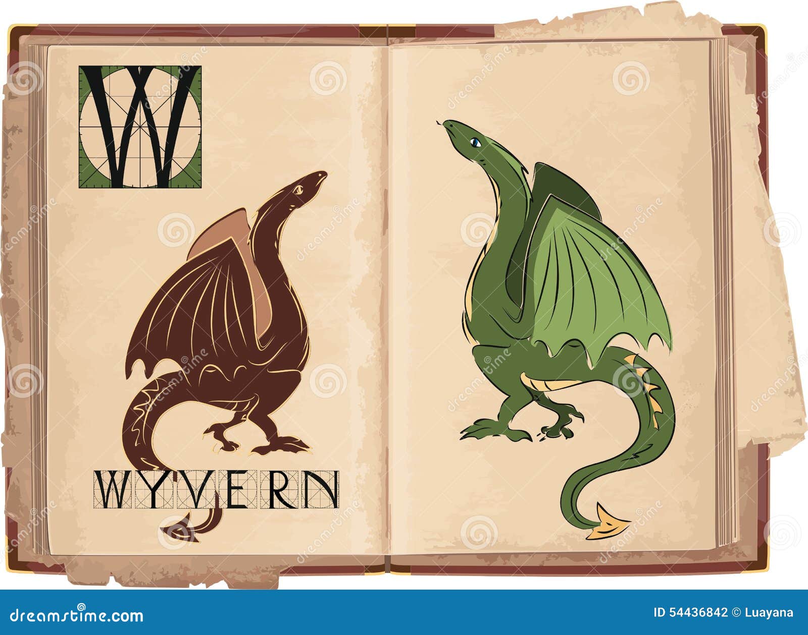 Wyvern stock vector. Illustration of myth, mythological - 54436842