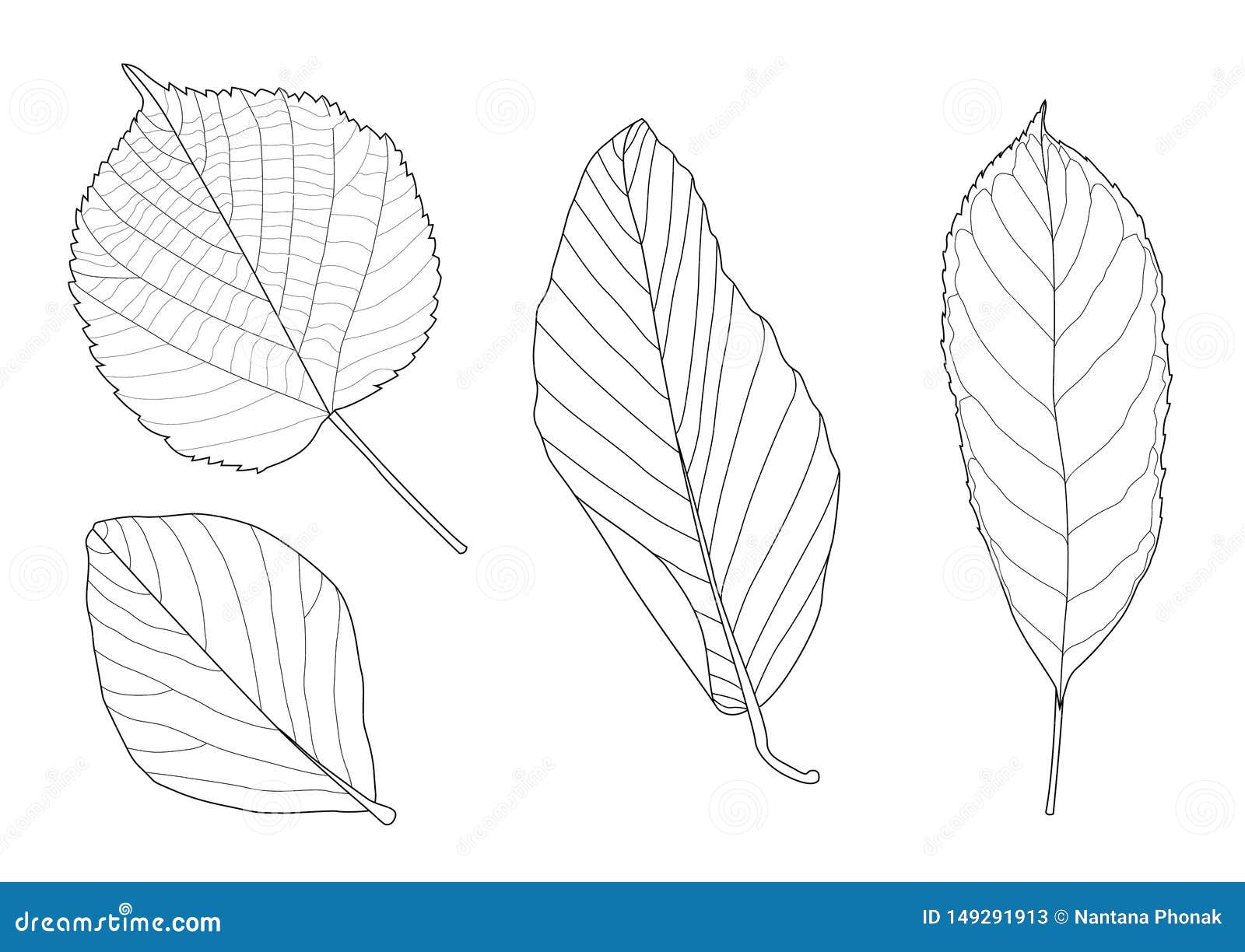 Leaves Line Single Leaf and Leaf Pattern Black Bring To Color Decorate ...
