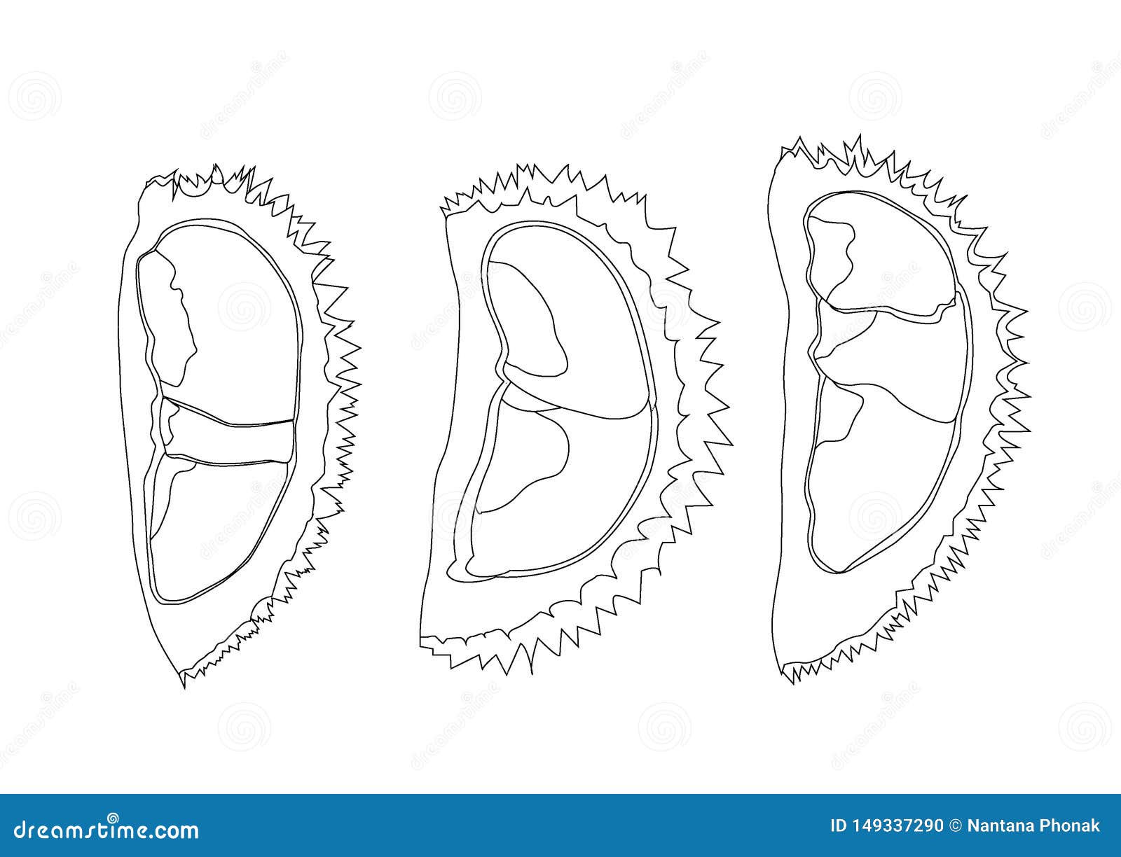 Line Durian Fruit and Black Line Bring To Color Decorate Stock ...
