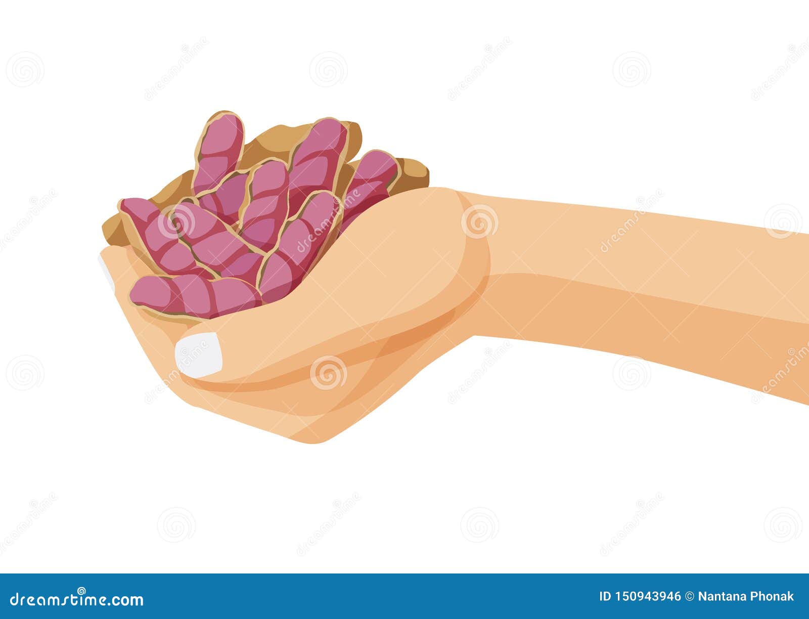 Boiled peanuts in hand stock vector. Illustration of model - 150943946