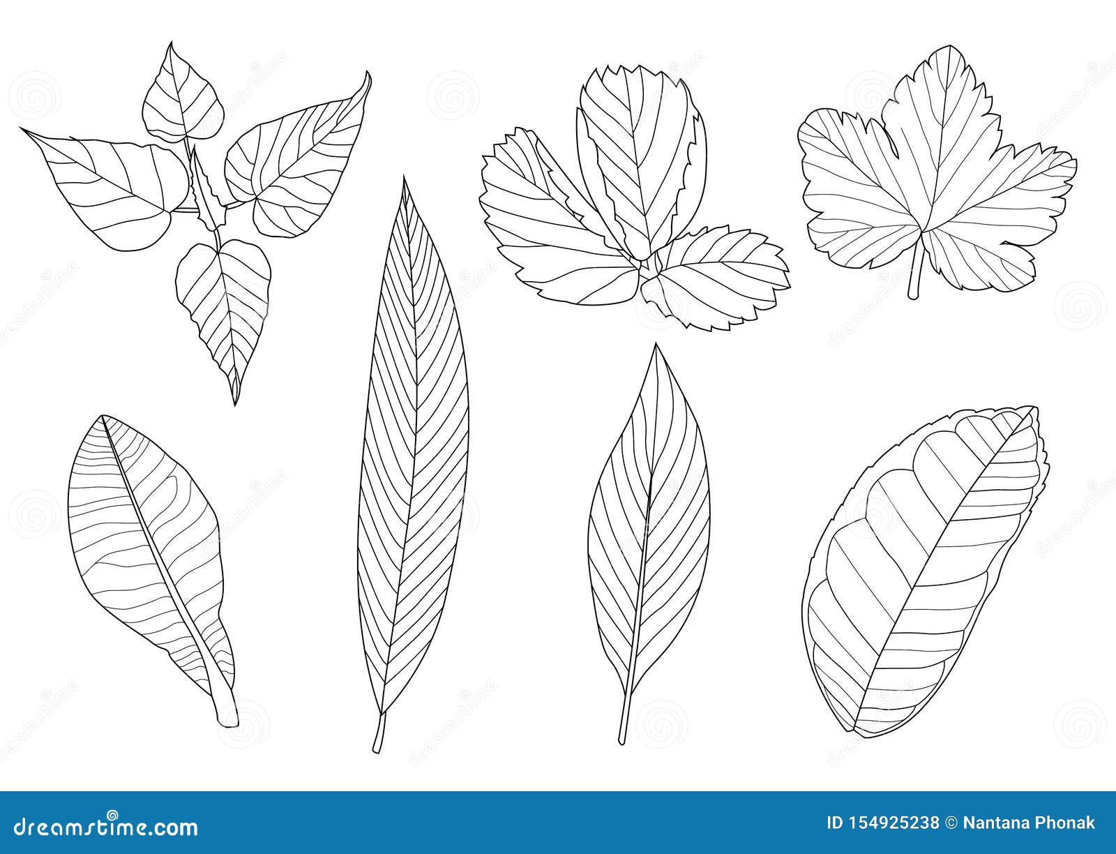 Leaves Line Single Leaf and Leaf Pattern Black Bring To Color Decorate ...