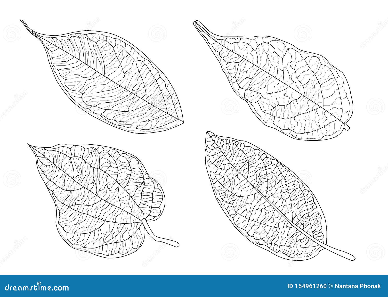 Leaves Line Single Leaf and Leaf Pattern Black Bring To Color Decorate ...