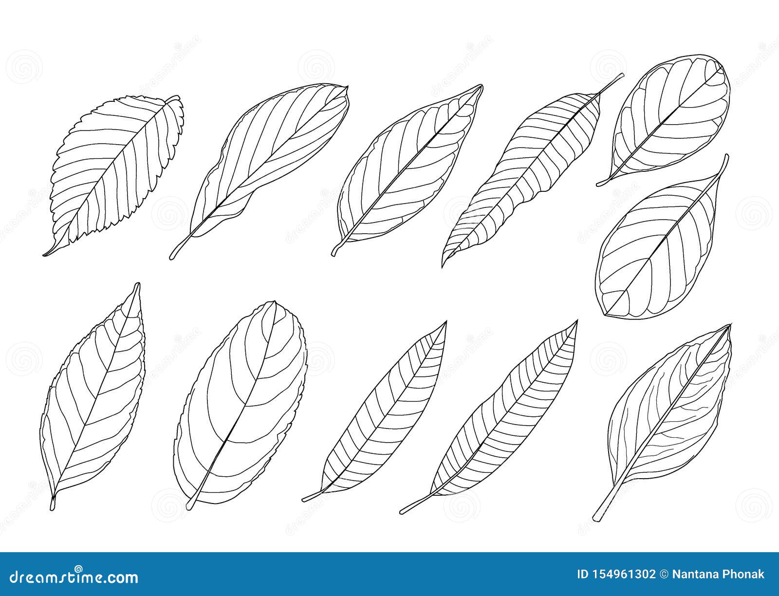 Leaves Line Single Leaf and Leaf Pattern Black Bring To Color Decorate ...