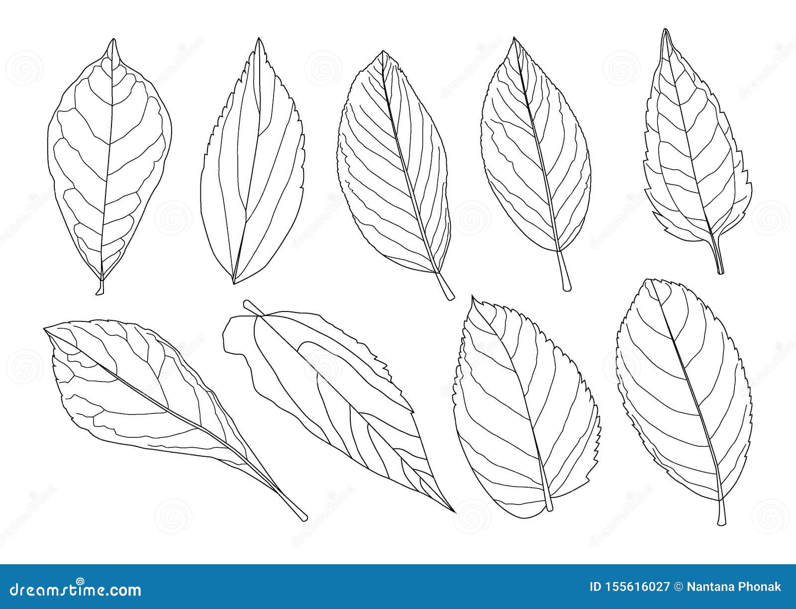 Leaves Line Single Leaf and Leaf Pattern Black Bring To Color Decorate ...