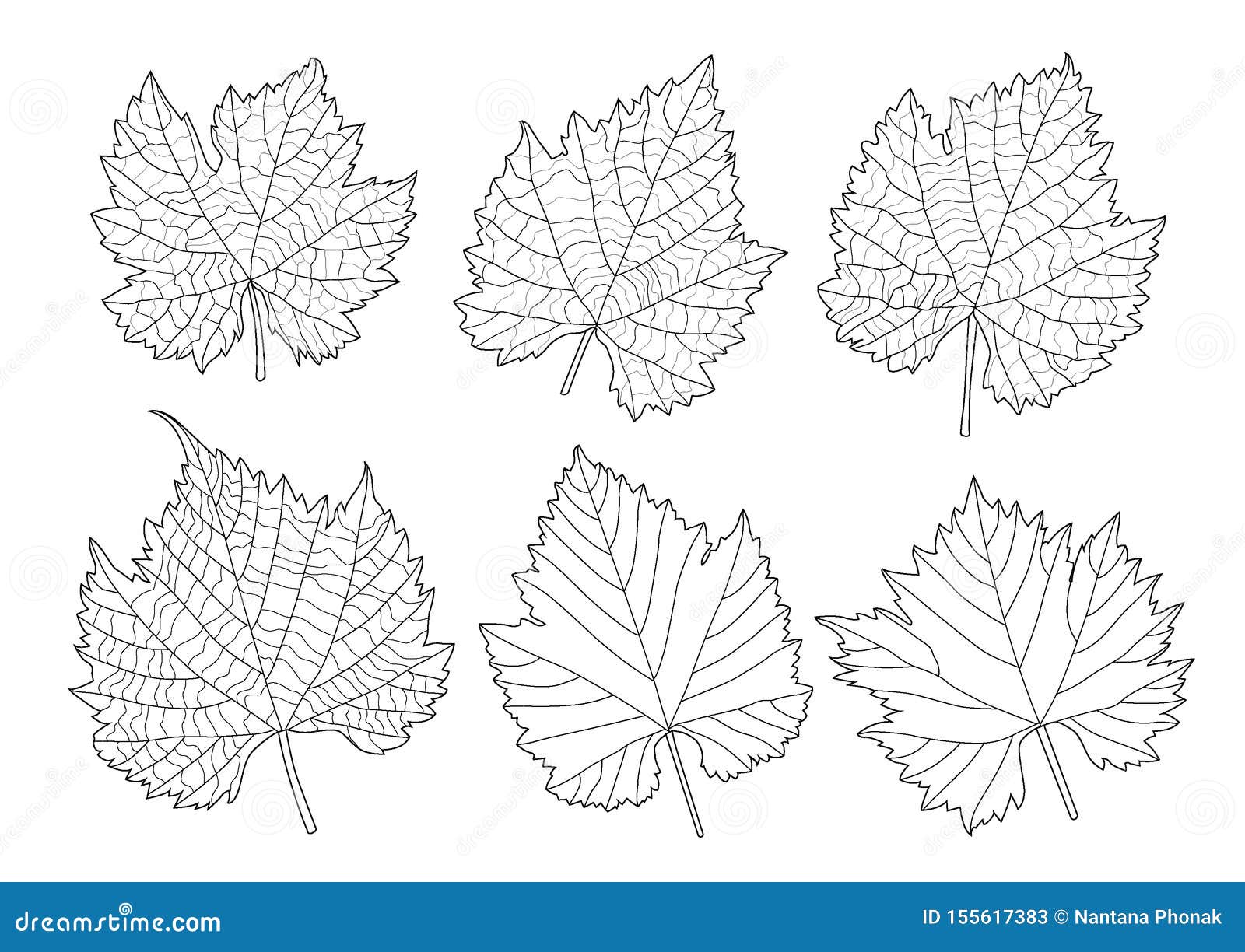 Leaves Line Single Leaf and Leaf Pattern Black Bring To Color Decorate ...