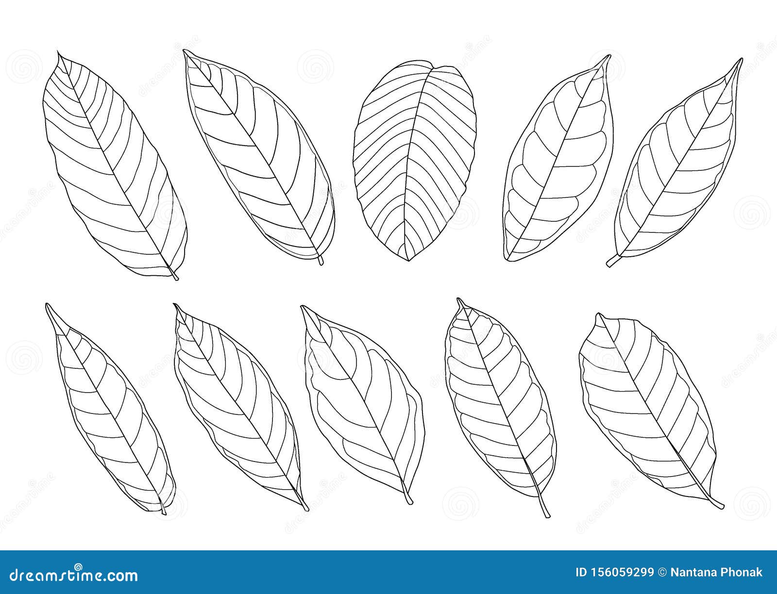 Leaves Line Single Leaf and Leaf Pattern Black Bring To Color Decorate ...