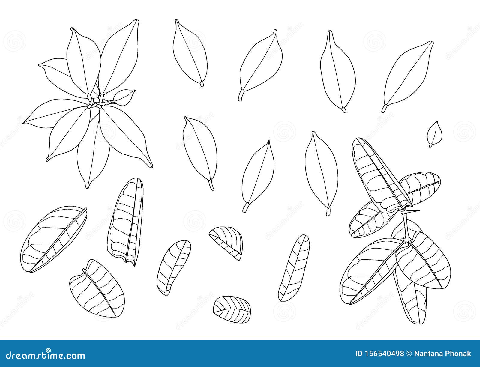 Leaves Line Single Leaf and Leaf Pattern Black Bring To Color Decorate ...