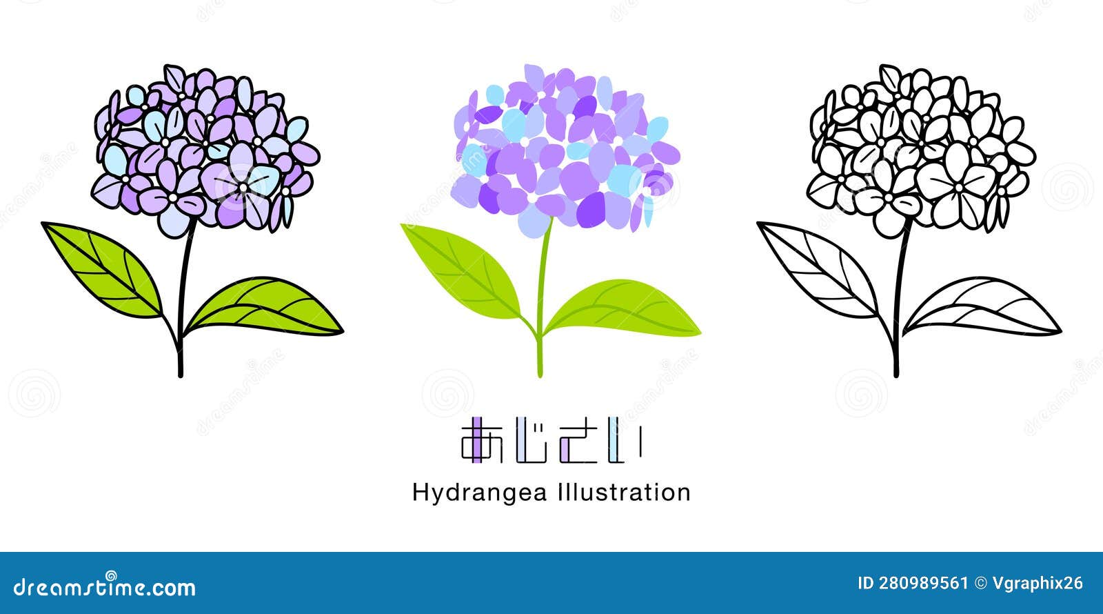 Hydrangea Flowers And Leaves, Japanese Lettering Design. Vector Icon ...
