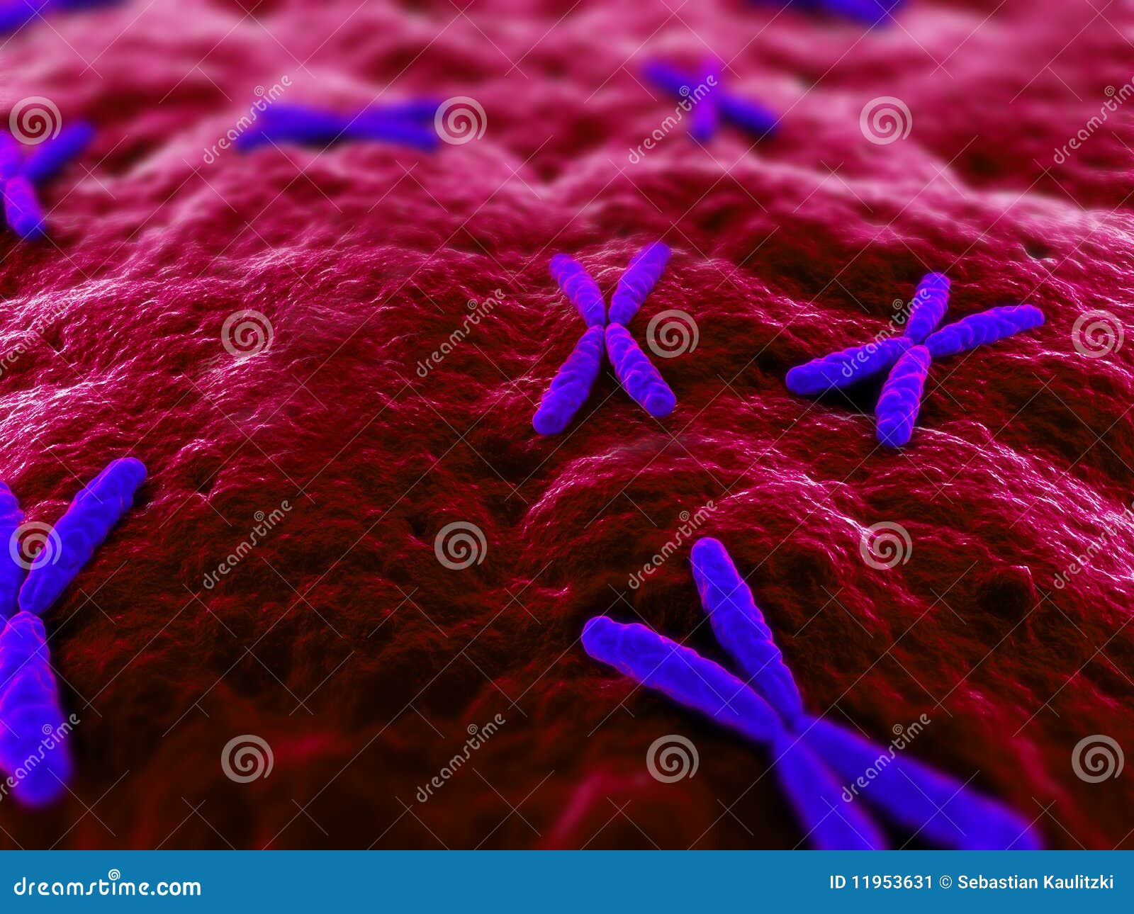 X - chromosom stock illustration. Illustration of gene - 11953631