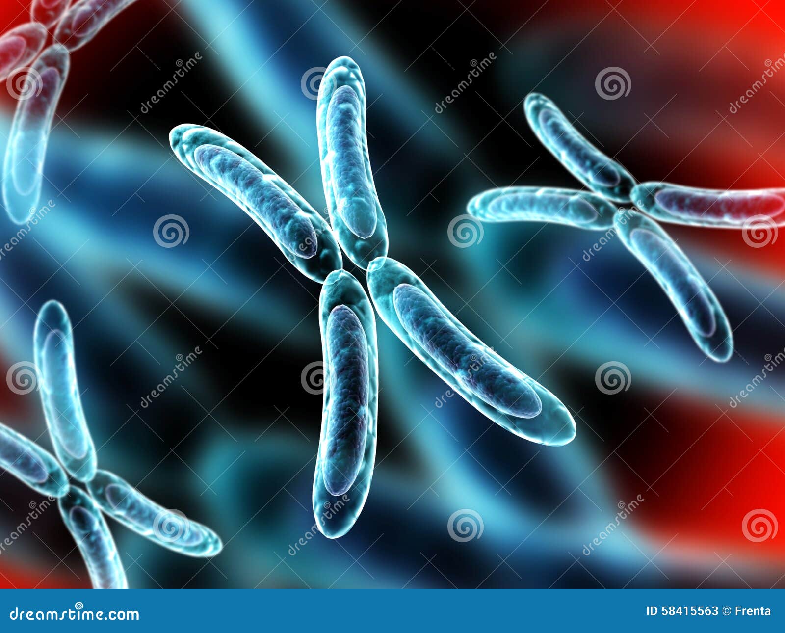 X Chromosome on Abstract Background Stock Illustration - Illustration ...