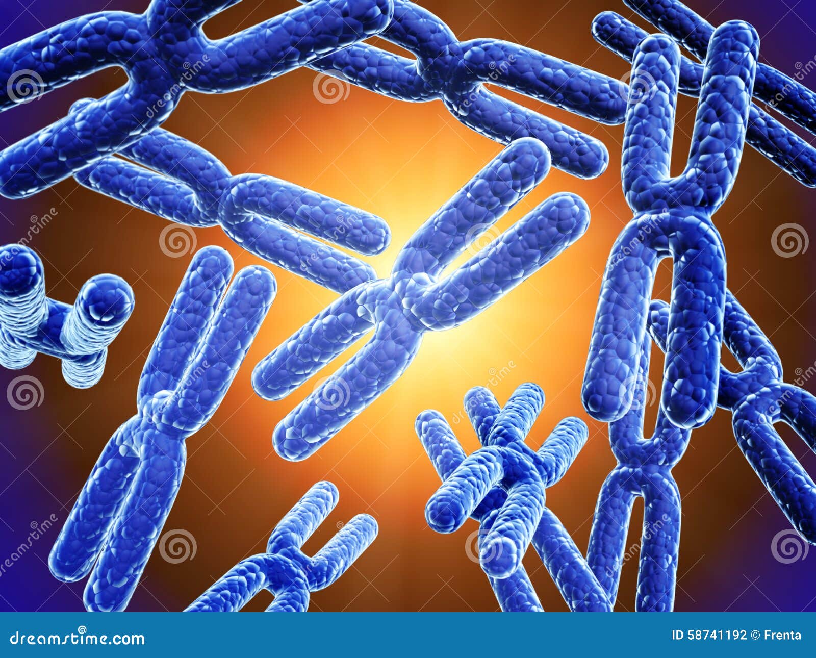 X Chromosome on Abstract Background Stock Illustration - Illustration ...
