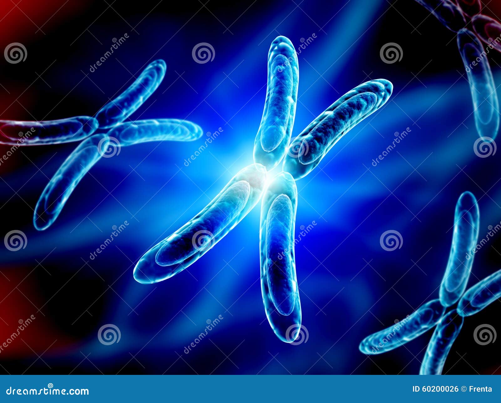X Chromosome on Blue Background Stock Illustration - Illustration of ...