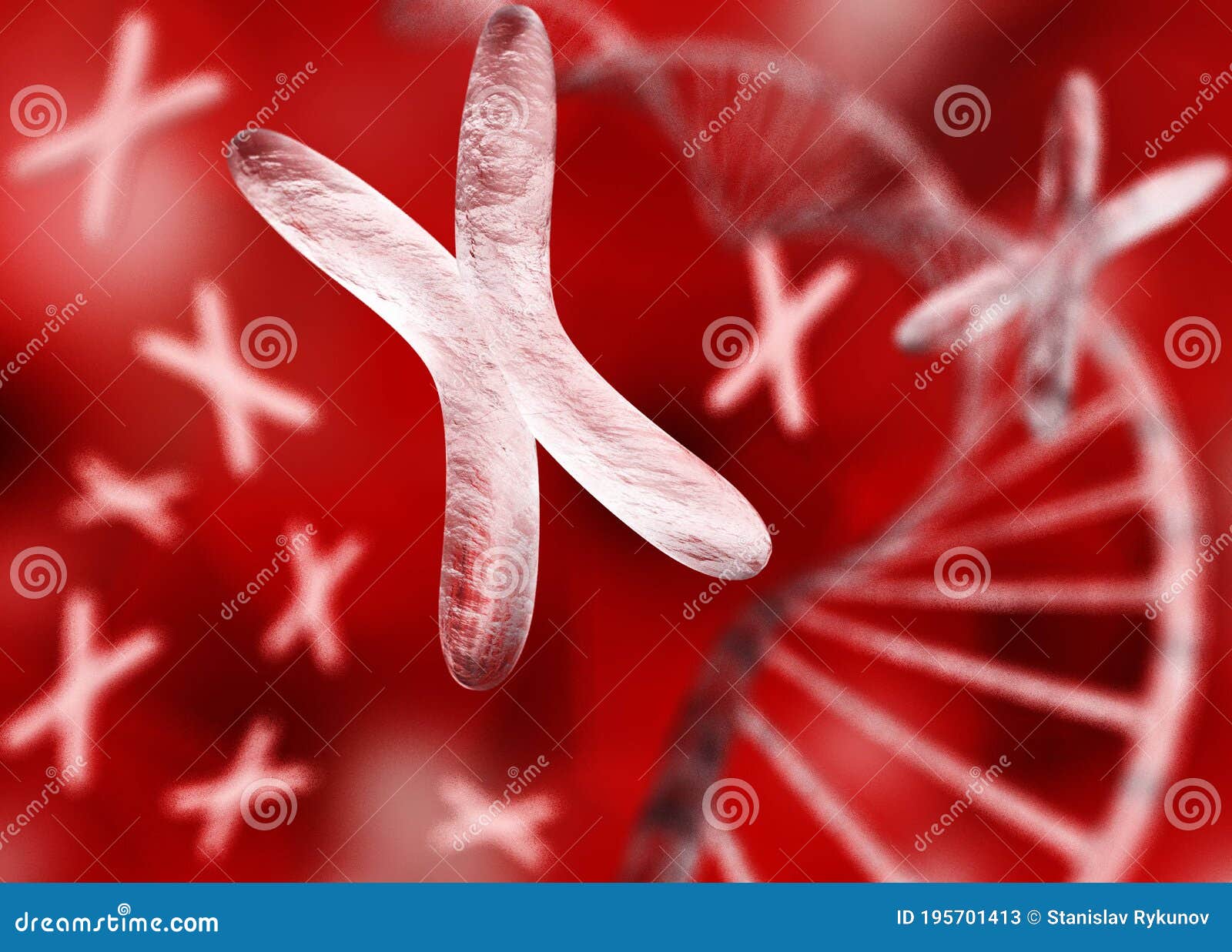 X chromosome, DNA stock illustration. Illustration of human - 195701413