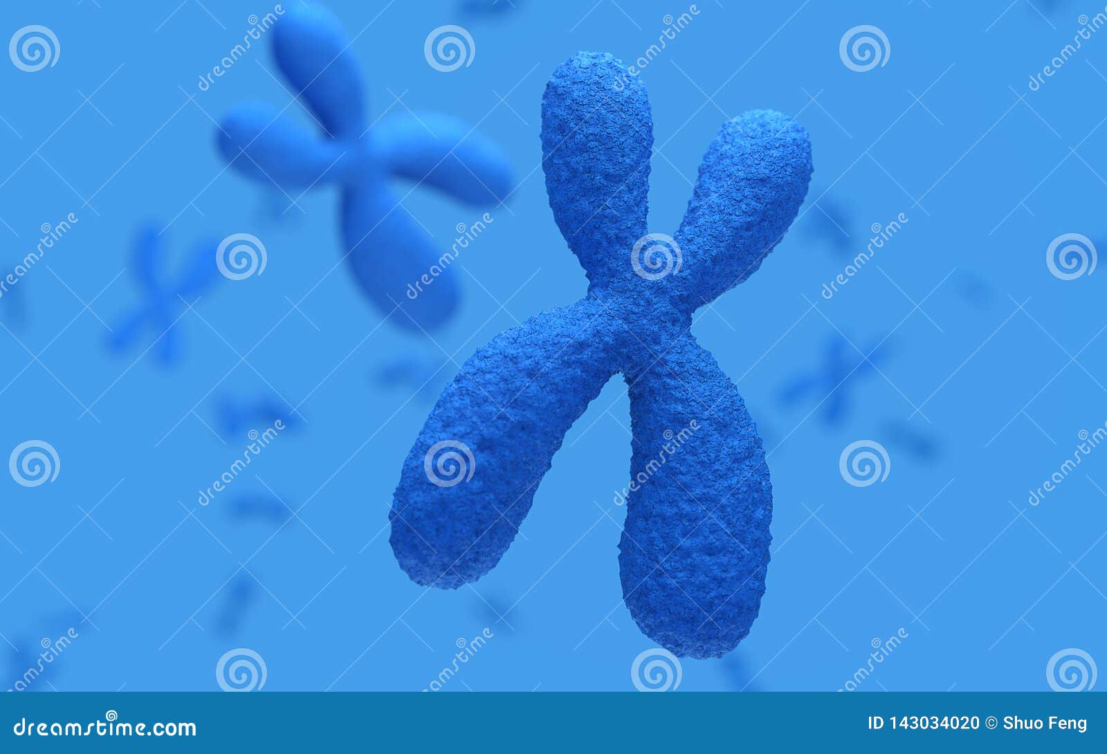 X Chromosomes Structure. Genetics Concept. 3d Rendering,conceptual ...