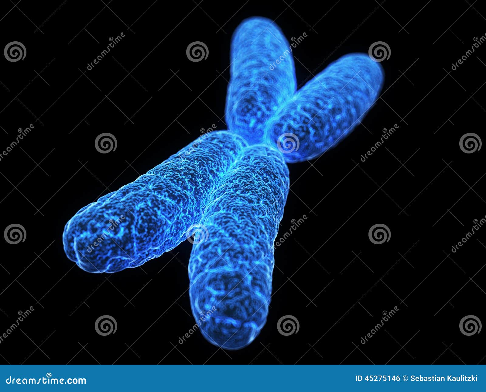 X-chromosoom stock illustratie. Illustration of gevolgen - 45275146