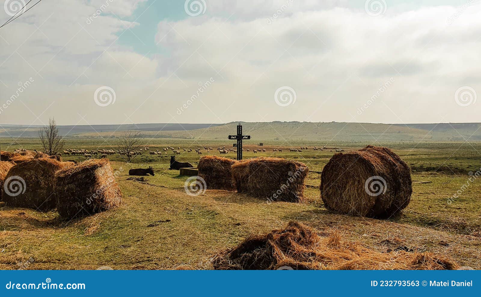 " Landscape from Another World " Stock Image - Image of ruins, tree ...