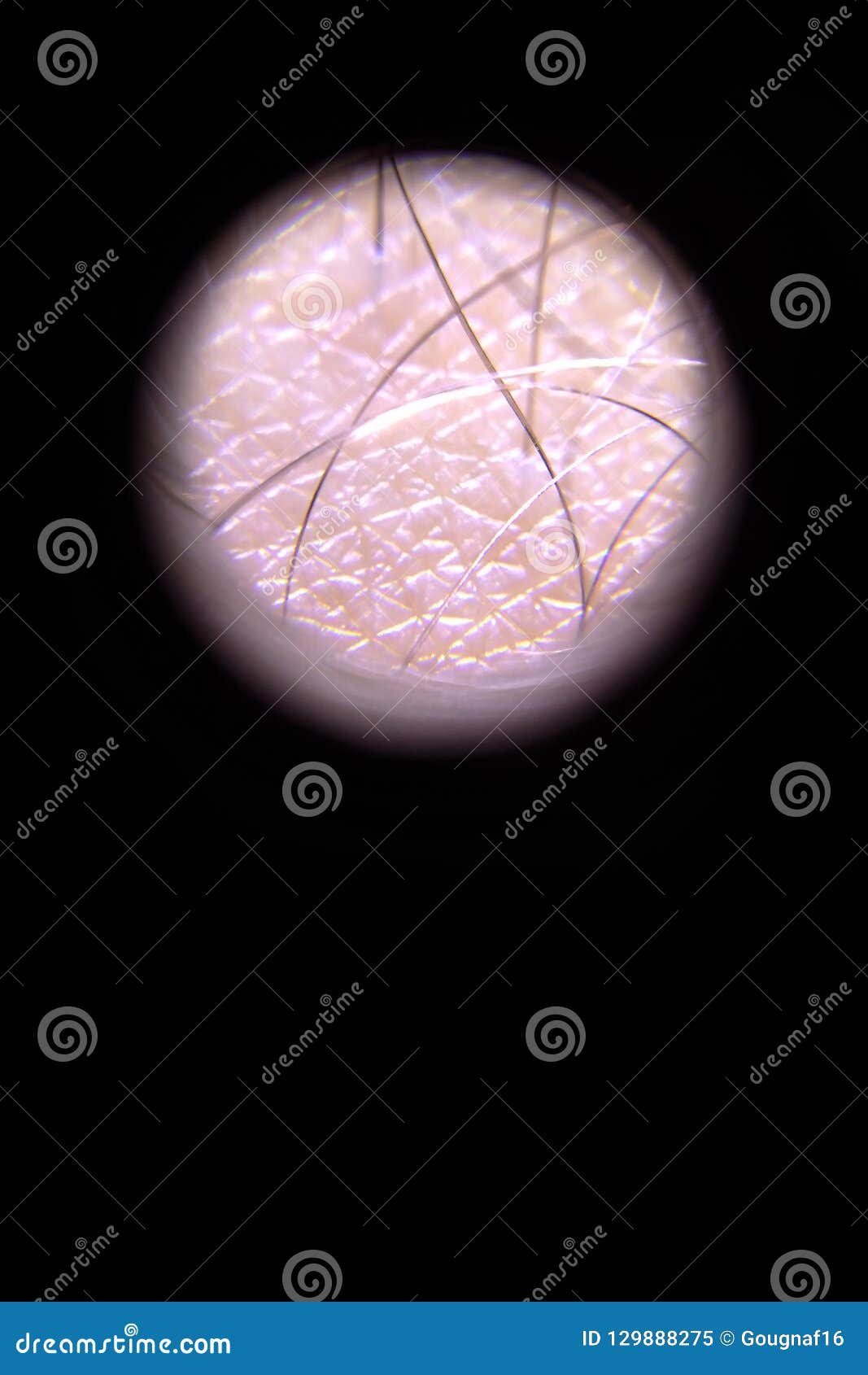 X64 Magnification of Human Skin Stock Image - Image of closeup, close ...