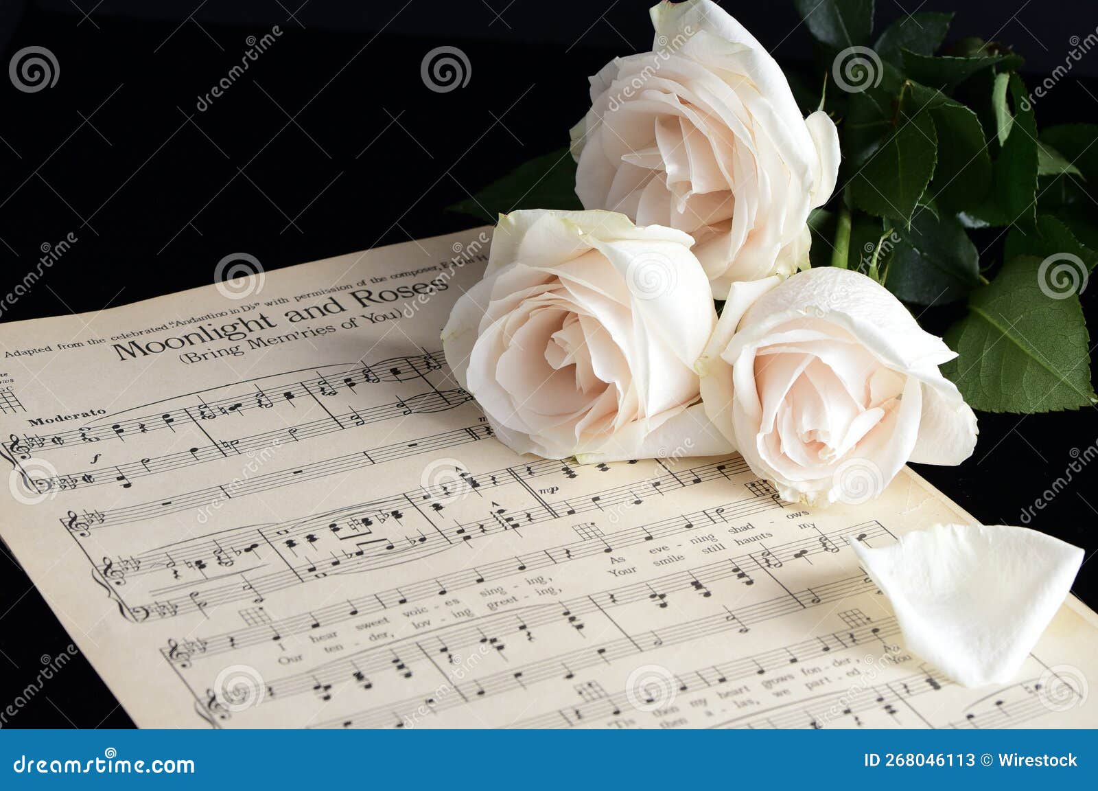 Roses And Music. Stock Image | CartoonDealer.com #16529311