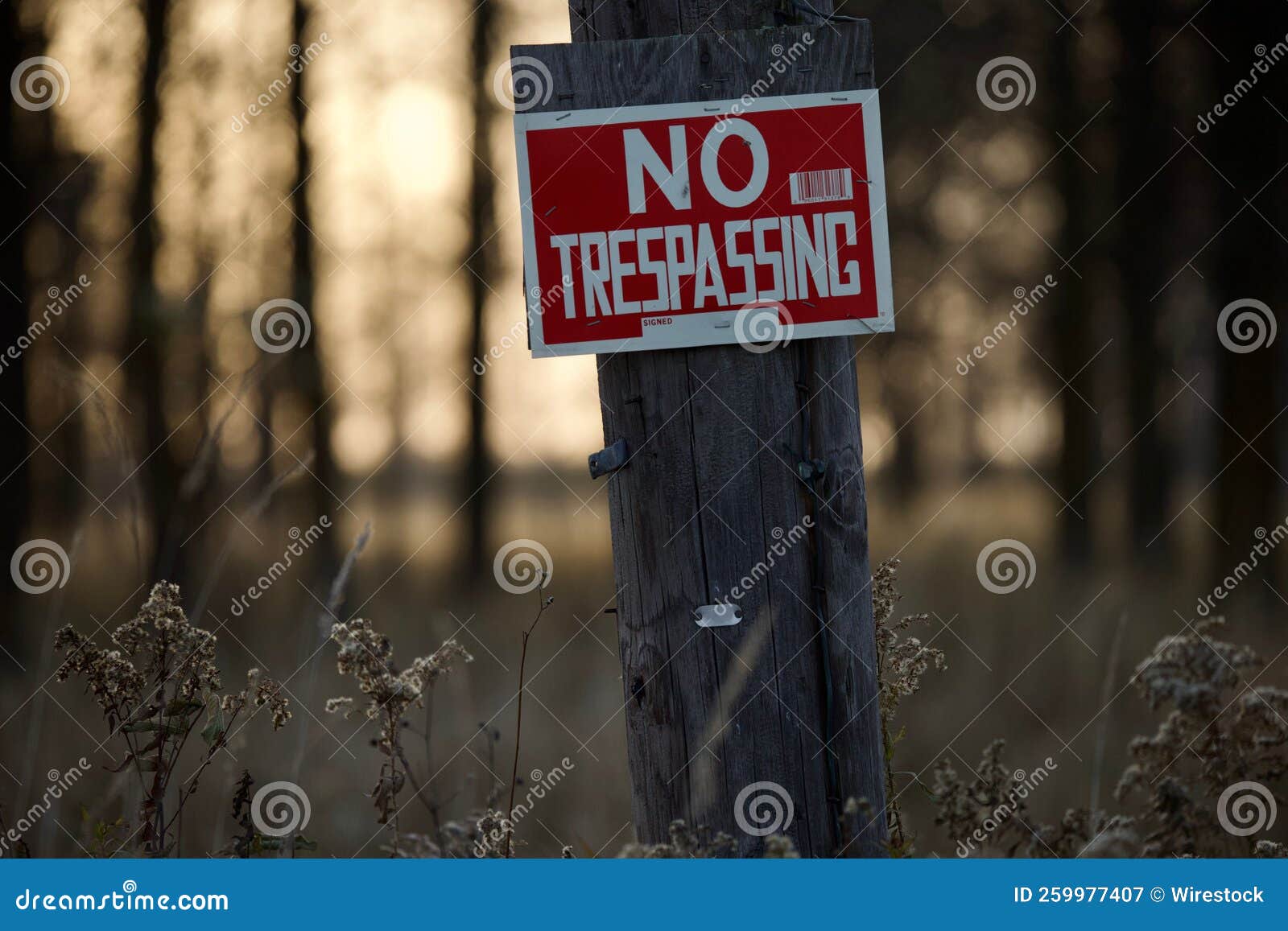 "No Trespassing" Sign on the Tree Stock Image - Image of foliage, tree ...